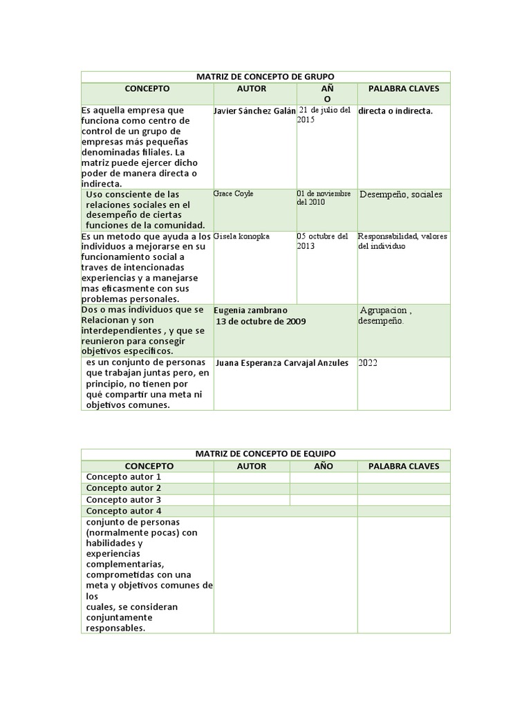 Matriz de Concepto de Grupo y Equipo | PDF