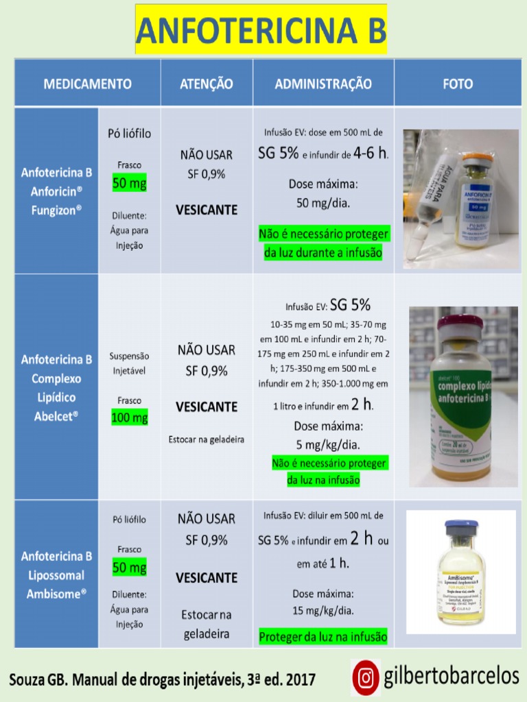 Anfotericina B: Informações e Bula | PDF