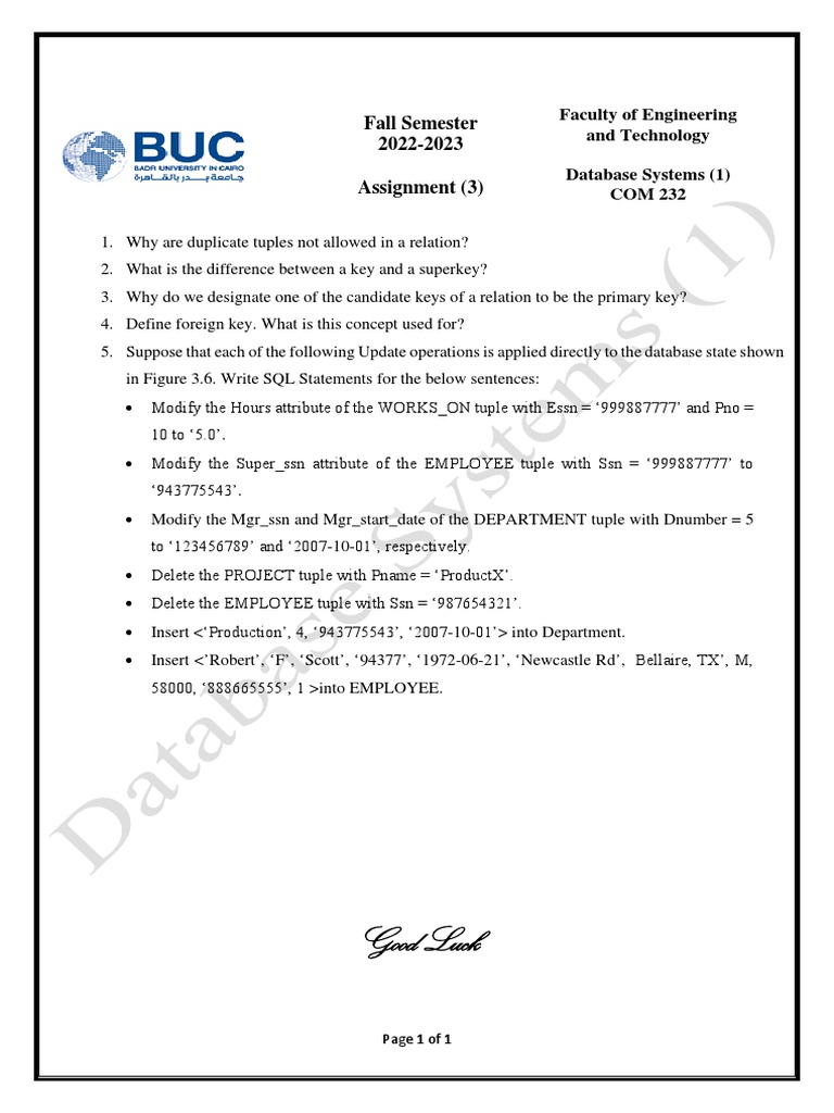 Key Database Concepts And Sql Statements For Updating And Inserting Tuples Based On A Sample