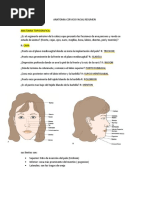Regiones de La Cara | PDF | Cara | Cabeza y cuello humanos