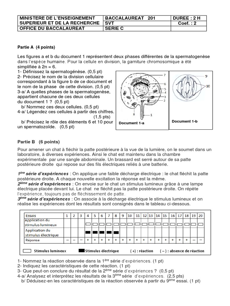 Epreuve Bac SVT C 2019, Togo | PDF