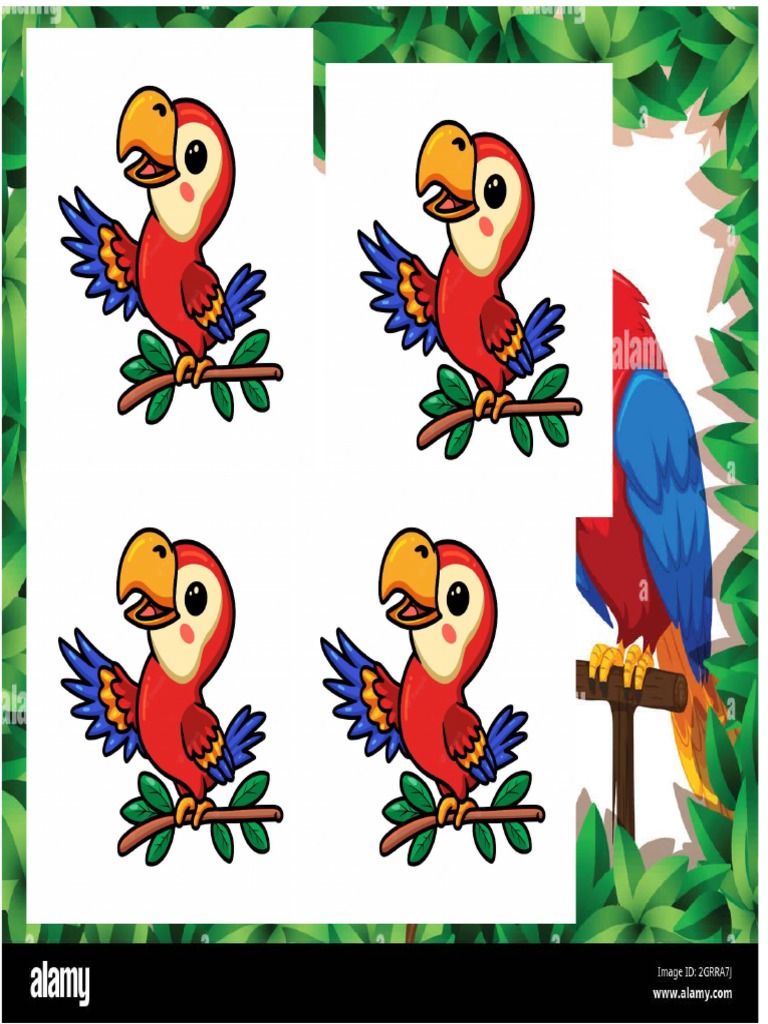 Caratula de Evans Mi Lorito Pepe | PDF