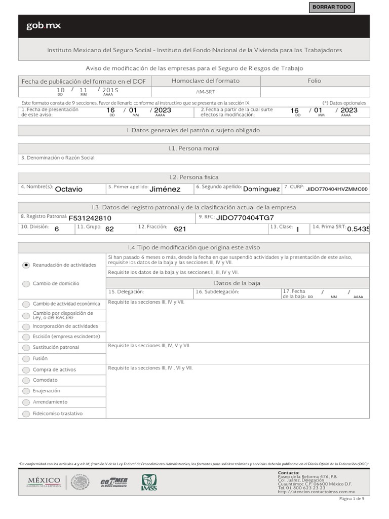 AM-SRT Formato Editable | PDF