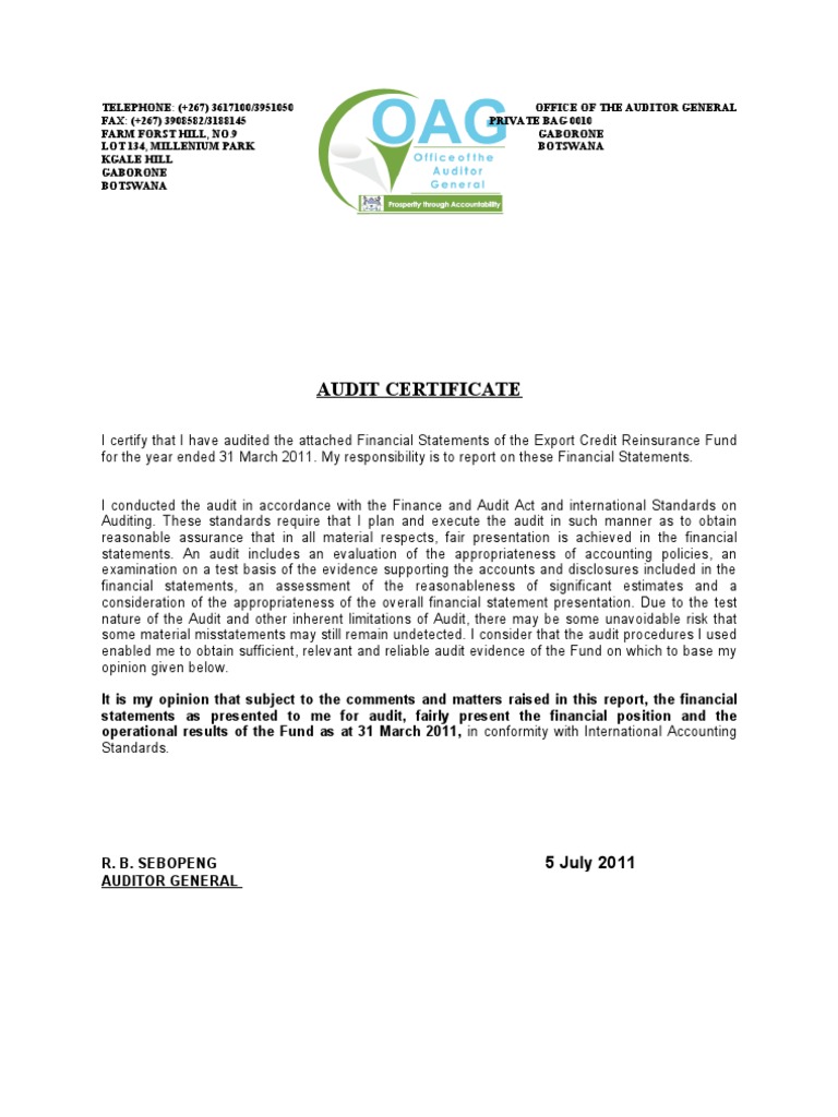 Audit Certificate for Financial Statements | PDF