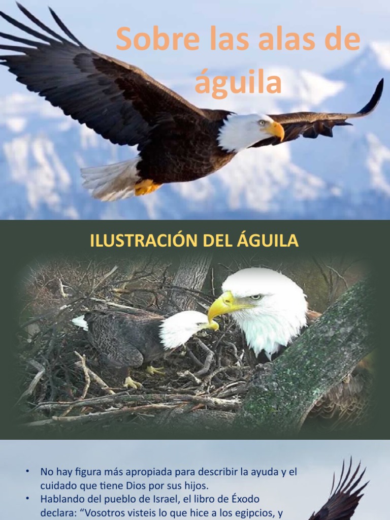 1-Sobre Las Alas de Águila | PDF