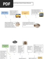 Linea Del Tiempo Sistema Financiero Mexicano | PDF | México | Bancos