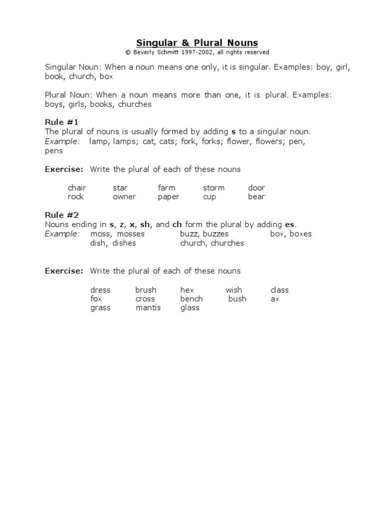 Singular & Plural Nouns | PDF