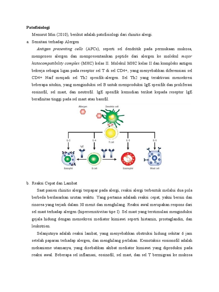 Patofisiologi Rhinitis Allergy | PDF