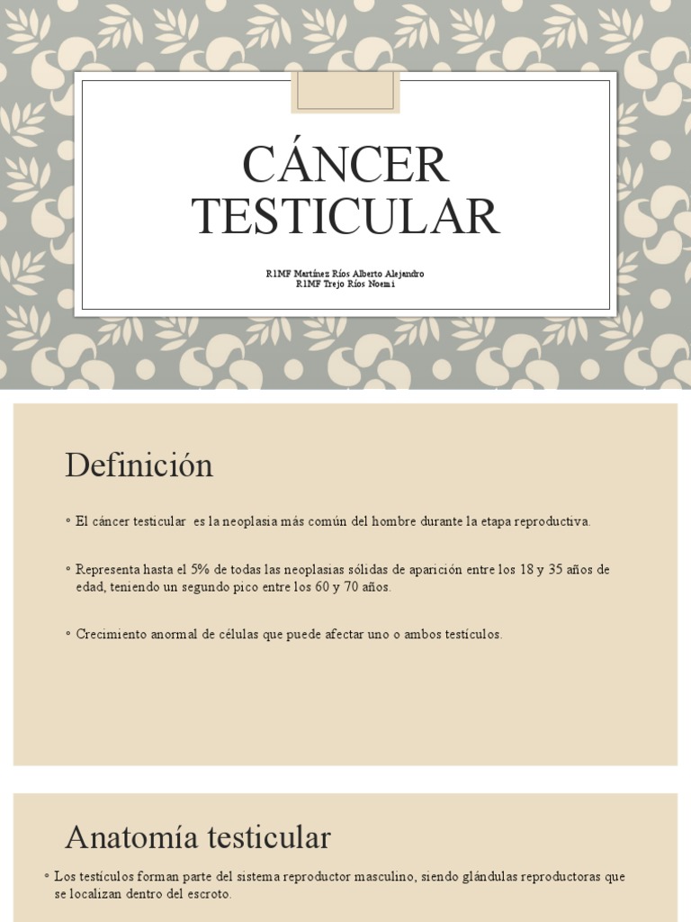 Cáncer Testicular | PDF | Testículo | Anatomia animal