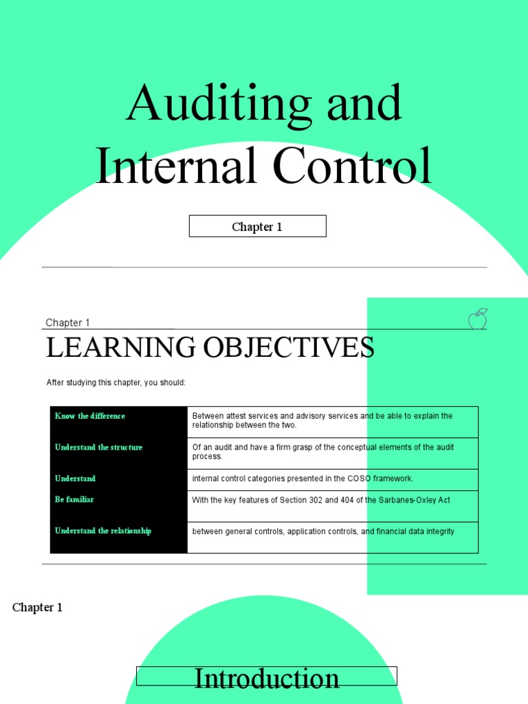 Auditing and Internal Control | PDF | Audit | Financial Audit