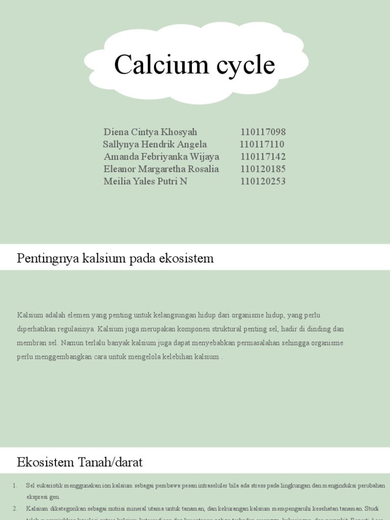 Calcium Cycle | PDF