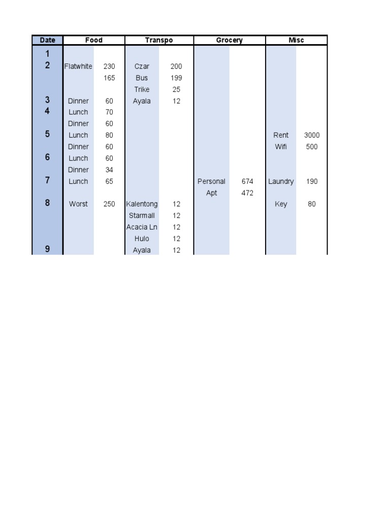 Monthly Expenses 2023 | PDF