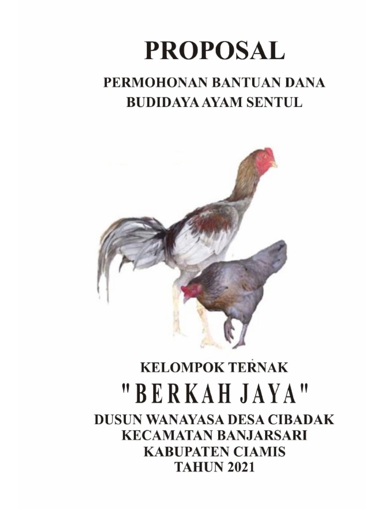 Proposal AYAM SENTUL Kelompok BERKAH JAYA Desa Cibadak | PDF