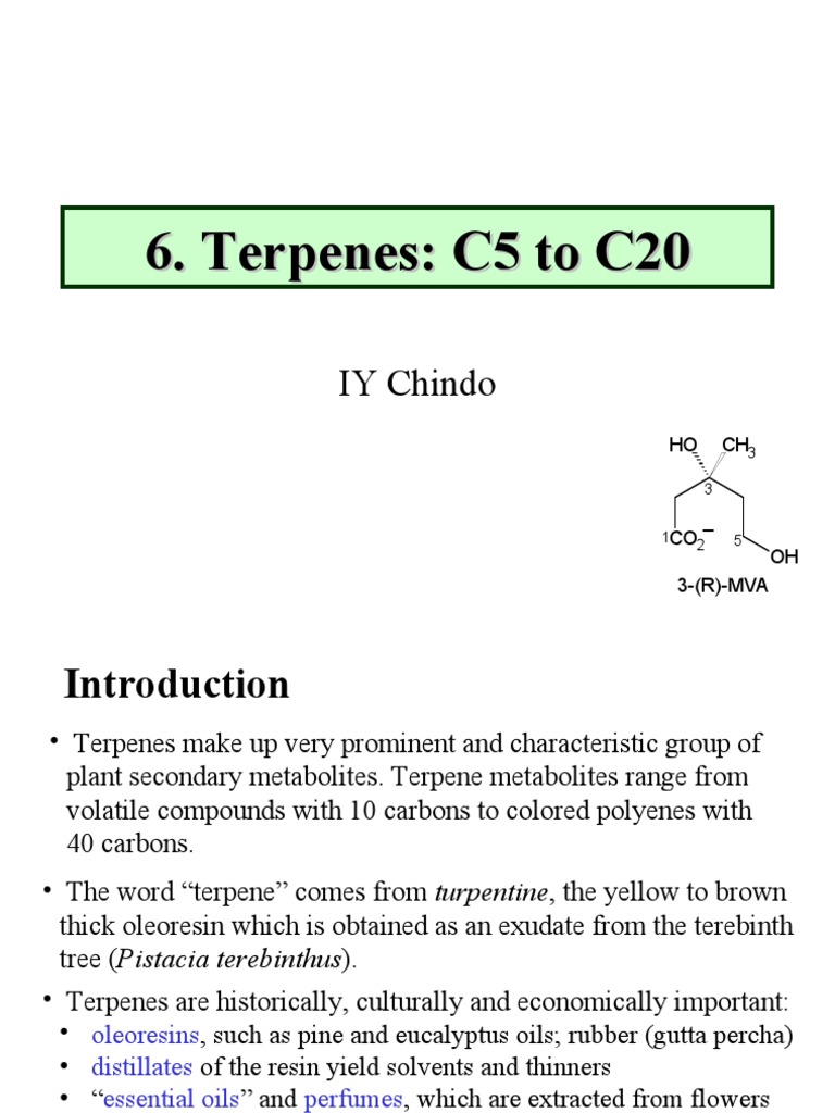 Terpenes c5 To c20 Lecture | PDF | Natural Products | Chemistry