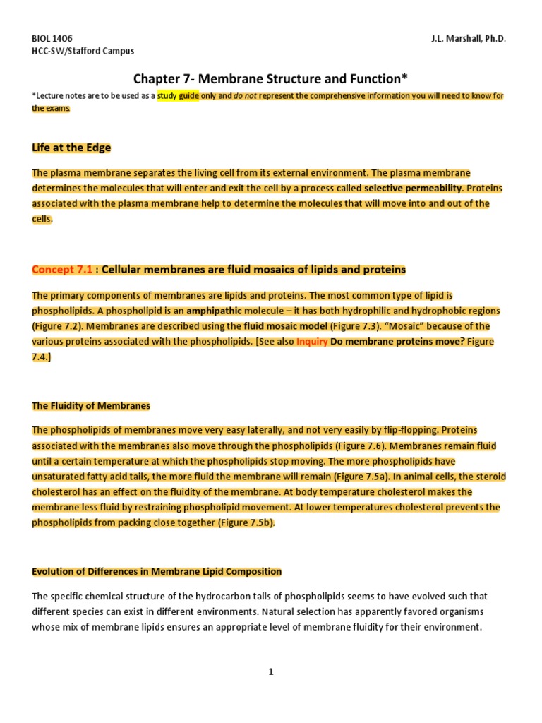 Chapter 7-Membrane Structure and Function : Life at The Edge | PDF ...