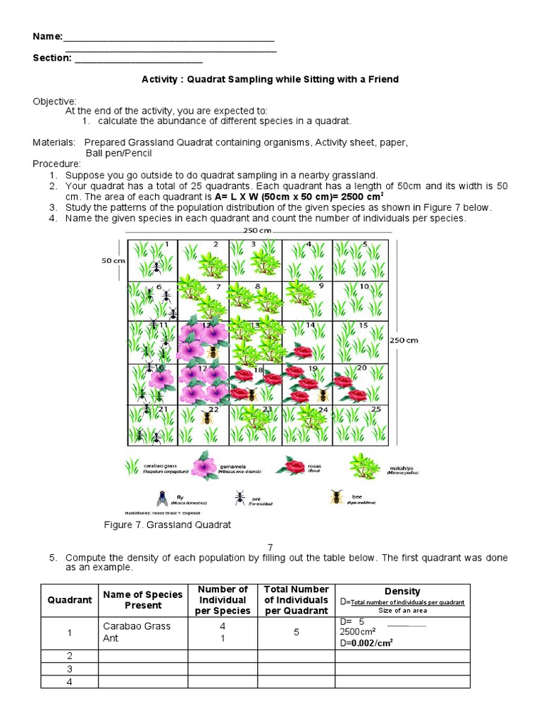 Calculating Species Abundance Using a Grassland Quadrat Sampling ...