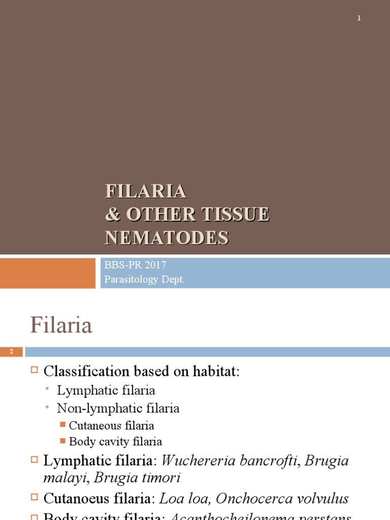Filaria N Tissue Nematode | PDF | Parasitology | Medical Specialties