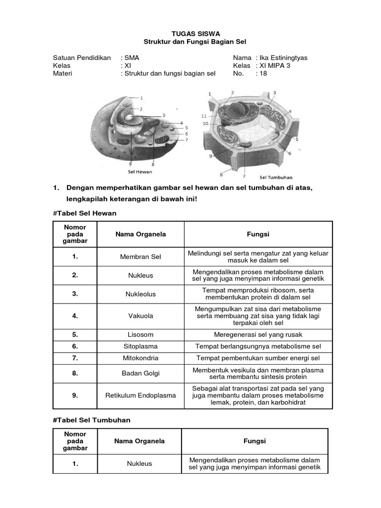 Struktur Dan Fungsi Bagian Sel Pdf
