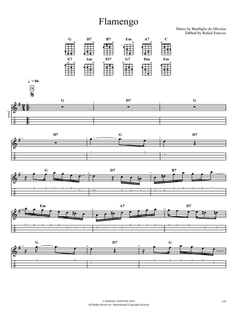 Flamengo | PDF | Social Information Processing | Government Information