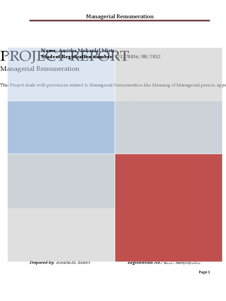 Project Report Managerail Remuneration - Final | PDF | Loans | Interest
