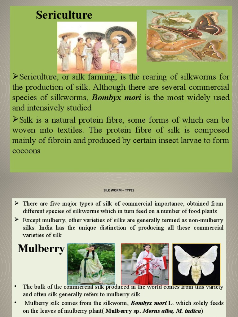 1399 Sericulture | PDF | Silk | Pupa