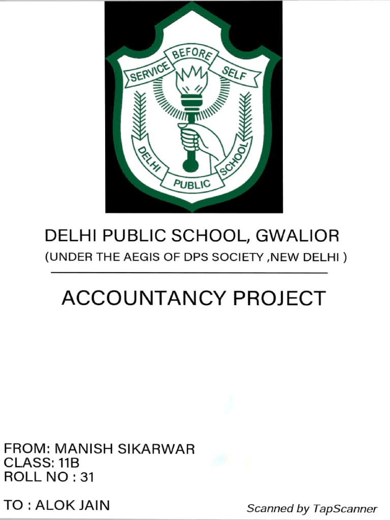 Accountancy Project File | PDF