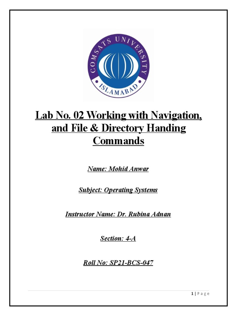 OS Lab 02 | PDF