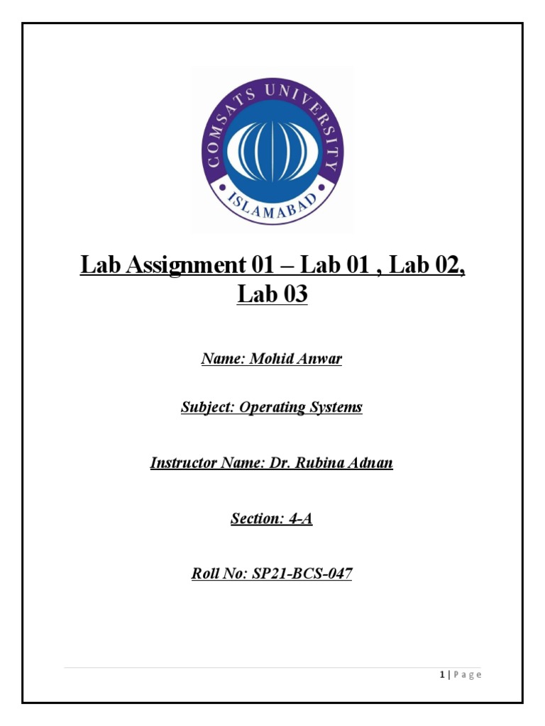 LAB ASSIGNMENT 01 OS Lab 1,2,3 | PDF | Operating System Technology | Software Engineering