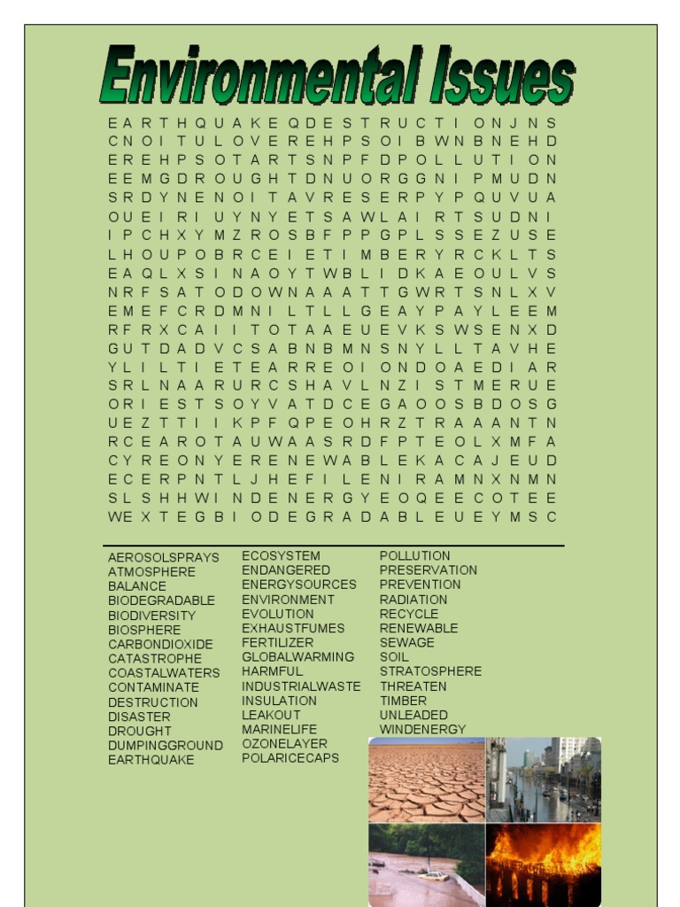 Environmental Issues Word Search | PDF | Environmental Social Science ...