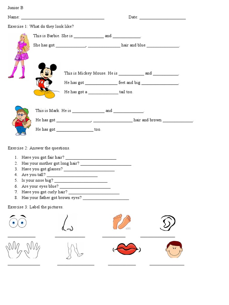 Appearance Adjectives and Body Parts - 73319 | PDF