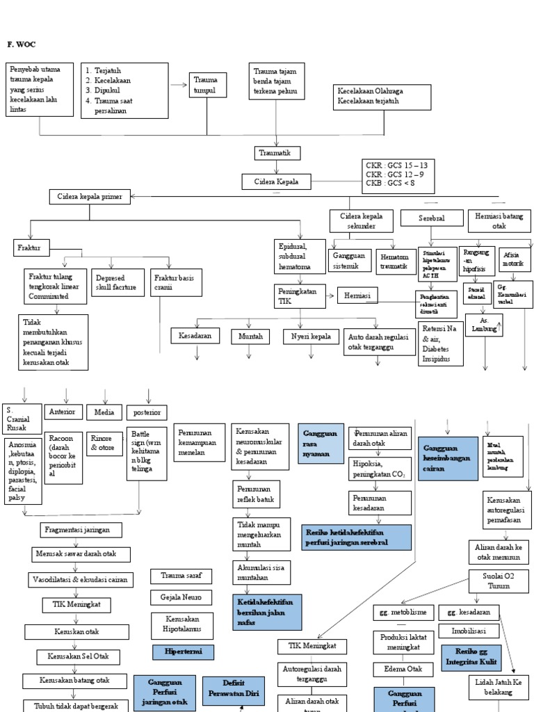 WOC CKB Ns. RAHMADINI, S.Kep | PDF