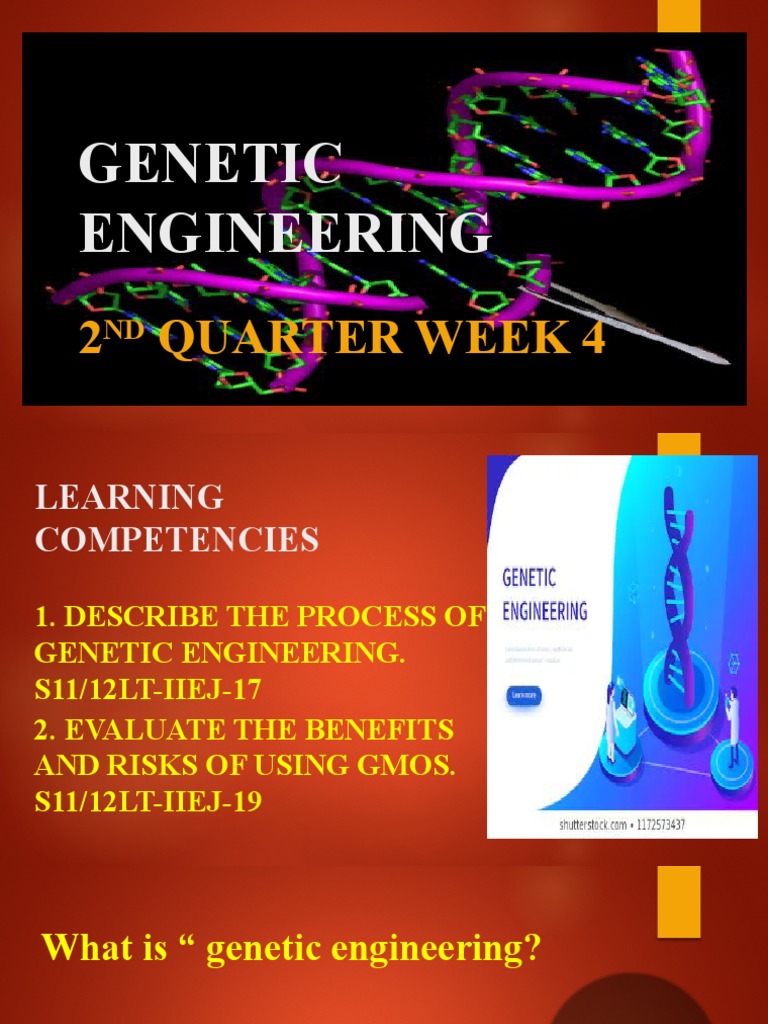 2ND QUARTER WEEK 4 GENETIC ENGINEERING Final | PDF | Genetic Engineering | Genetically Modified ...