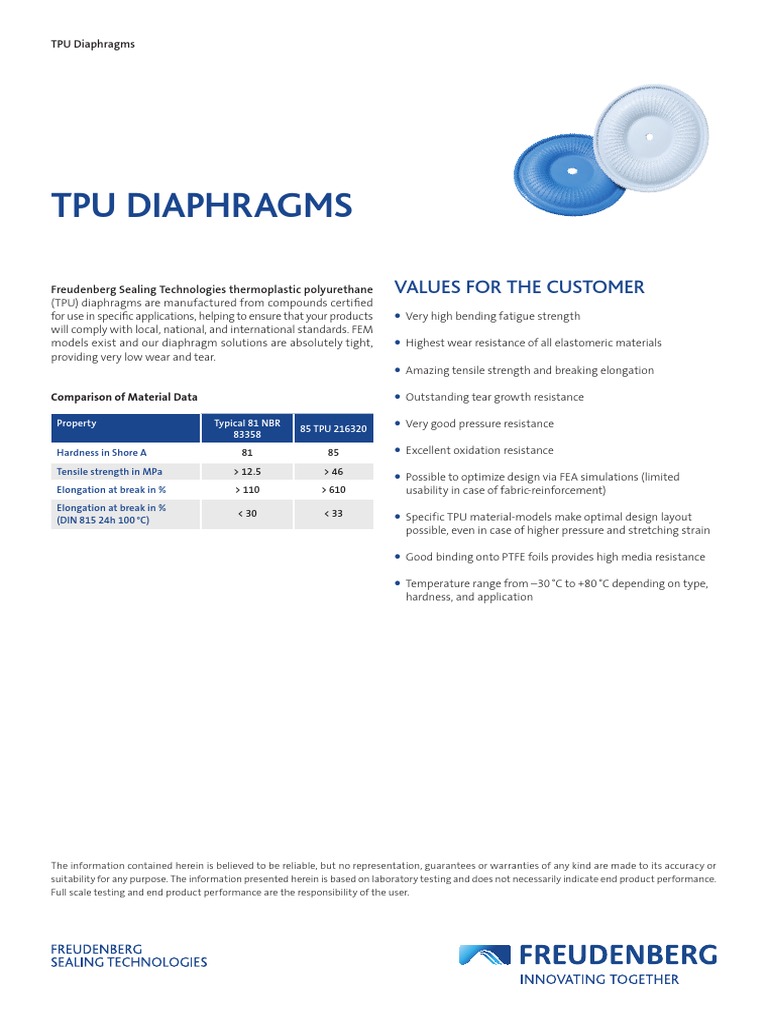 FST TPU Diaphragm-1 | PDF | Strength Of Materials | Finite Element Method