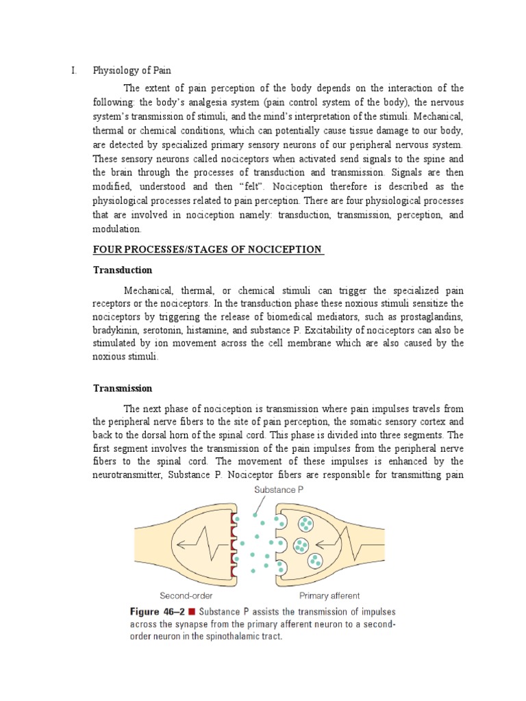 Physiology of Pain | PDF | Pain | Stimulus (Physiology)