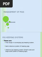 Classification and Selection of Swine Breeds | PDF | Pig | Zoology