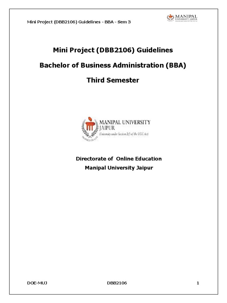 Mini Project Guidelines for BBA Sem 3 | PDF | Business | Economies