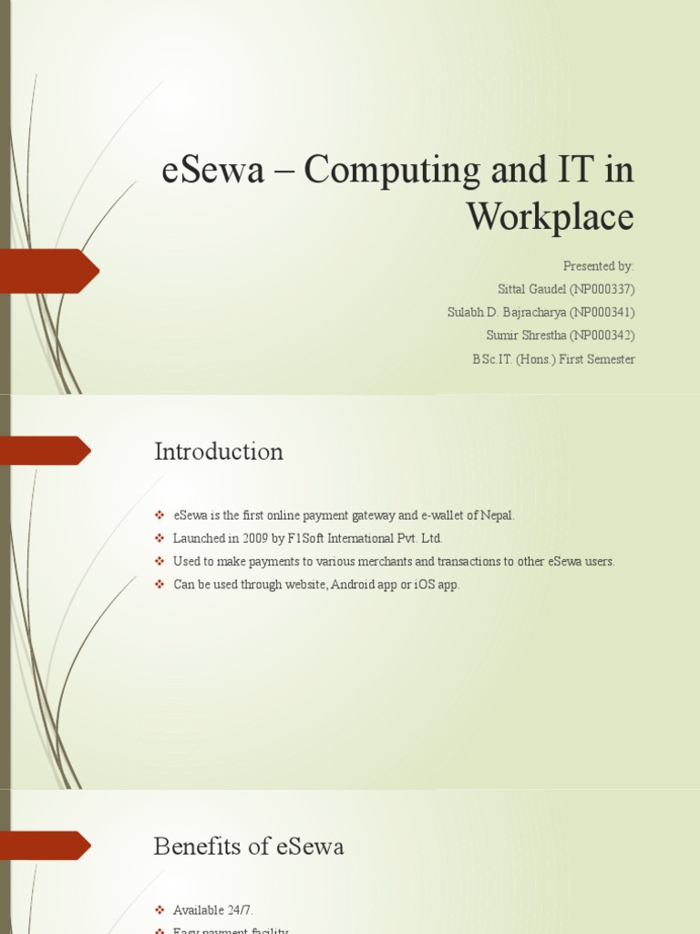 ESewa - Computing and IT in Workplace | PDF | Carpal Tunnel Syndrome | Sustainability