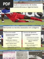 Nomes de 100 Músculos Do Corpo Humano | PDF | Sistema Locomotor ...