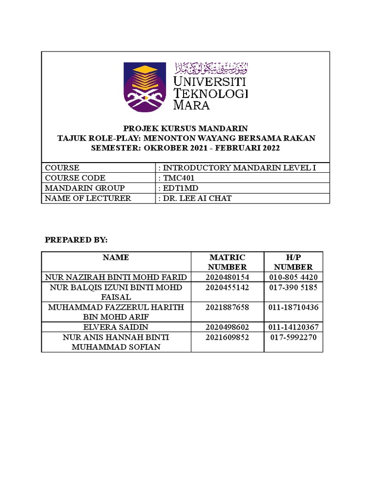TMC401 Skrip Role Play Group | PDF