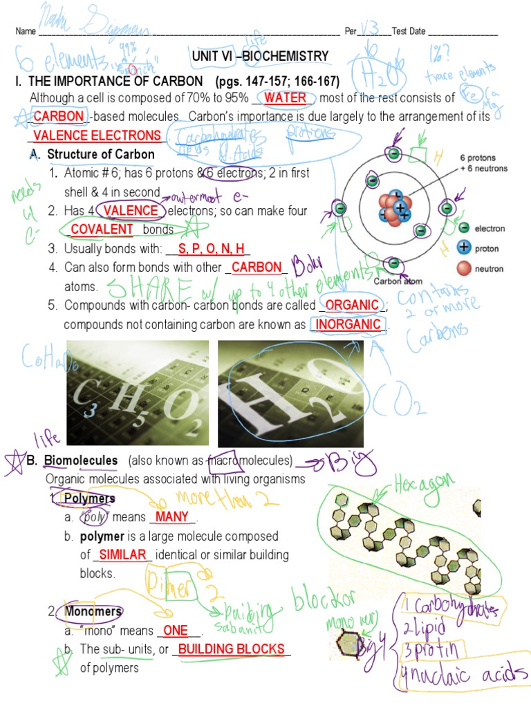 Unit VI Teacher Notes 2020 Biochemistry | PDF | Carbohydrates | Lipid