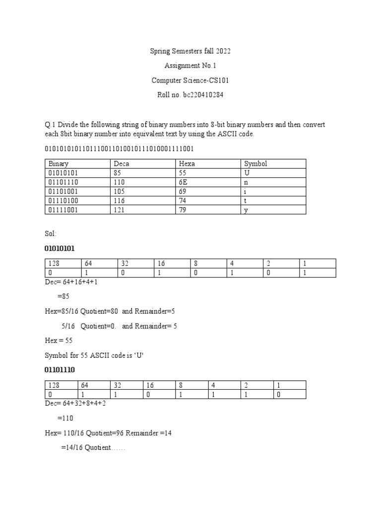 Cs101 Assignment Pdf Byte Computer Data