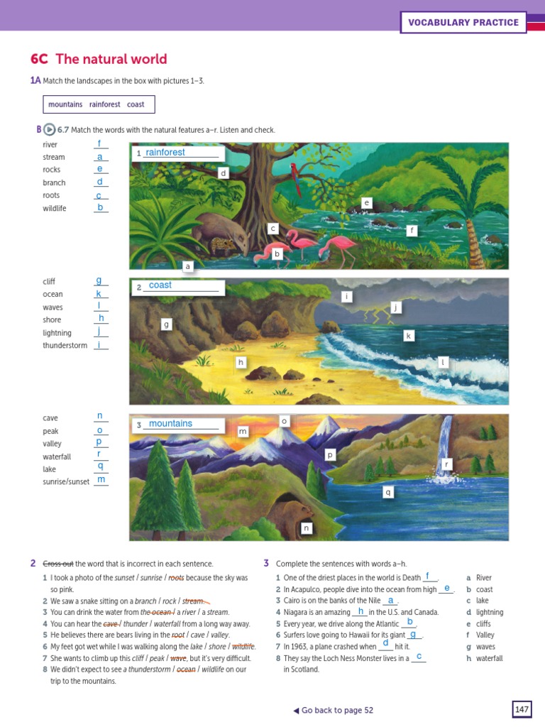 Natural World Vocabulary Practice | PDF