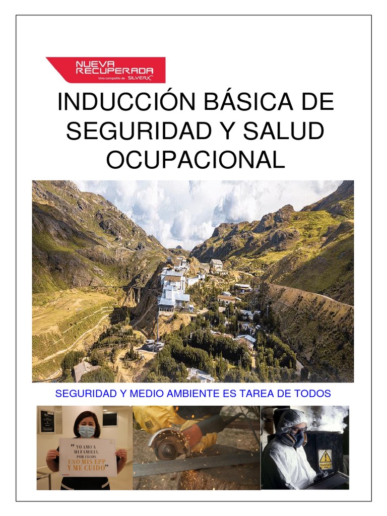Folleto Inducción Básica de Seguridad y Salud Ocupacional | Descargar gratis PDF | Seguridad y ...