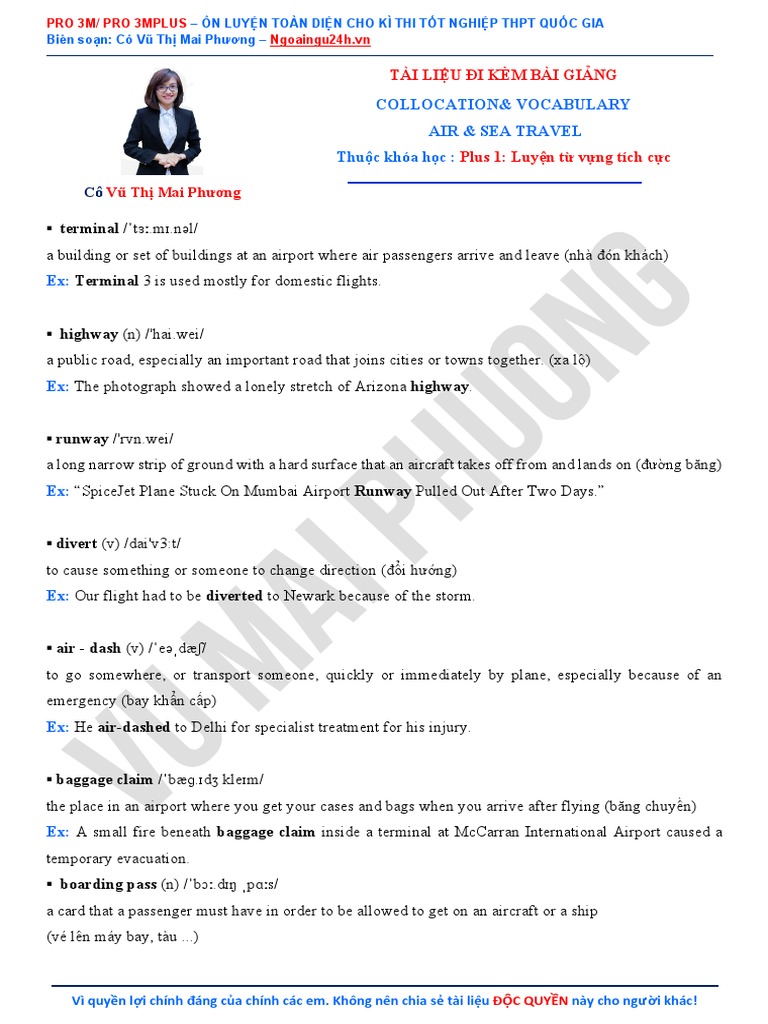 Air & Sea Travel | PDF | Airport | Baggage