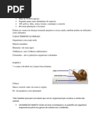 Anatomia e Reprodução do Polvo | PDF | Polvo