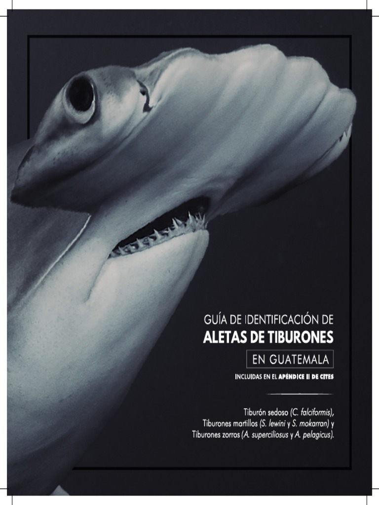 Guia-Aletas de Tiburón | PDF | Tiburones | Pescado