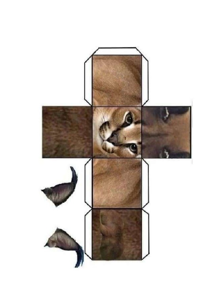 Big Flopa Armable | PDF