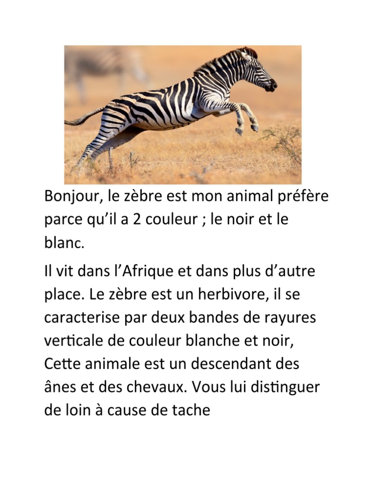Le Zebre | PDF