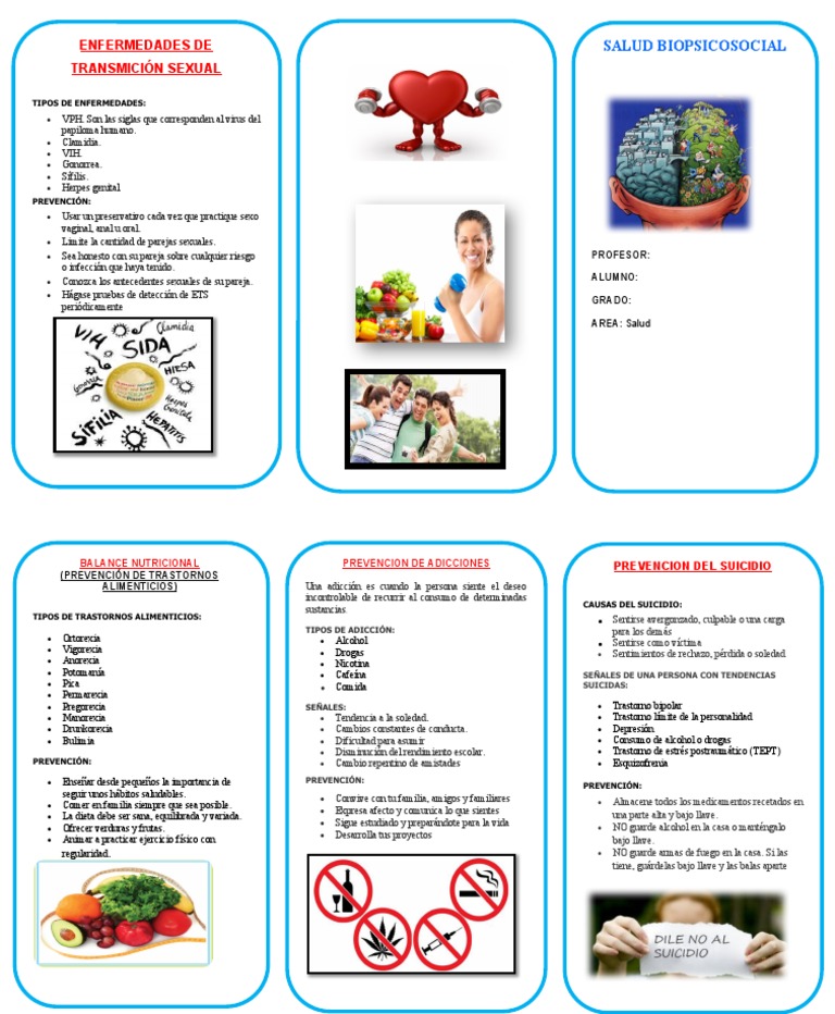 Triptico-De-La-Salud Hannia Lizbeth Hernández Andrés | PDF