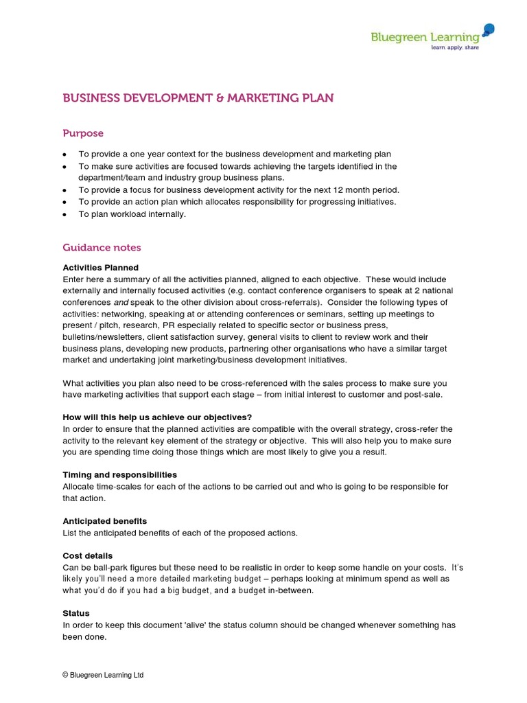 Marketing Business Development Plan | PDF | Marketing | Business Economics